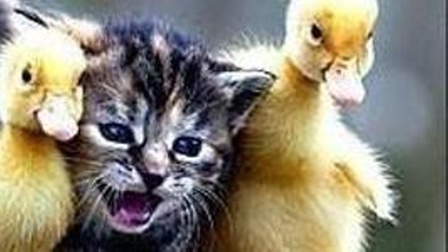 ・m・・m・ - Profile - SHOWROOM