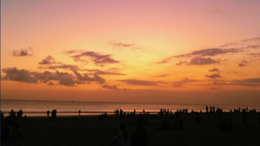 FITRAN - Profile - SHOWROOM