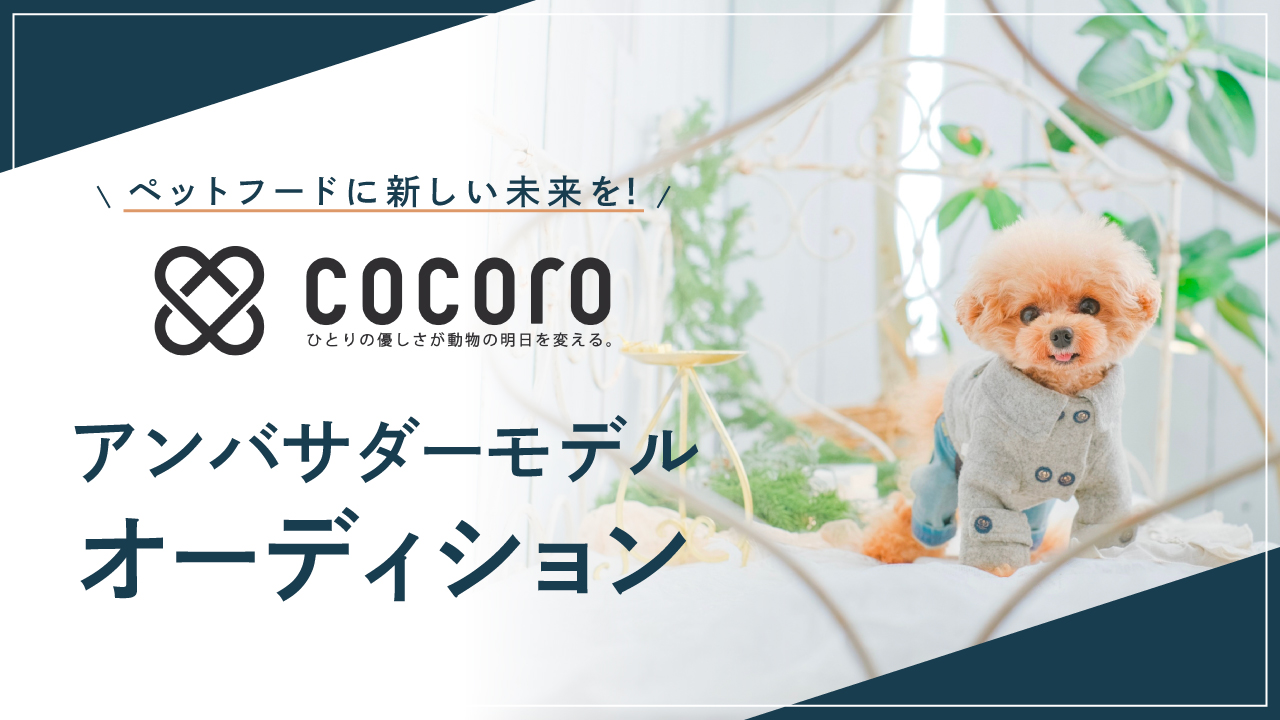 ペットフードに新しい未来を！cocoroアンバサダーモデルオーディション - SHOWROOM