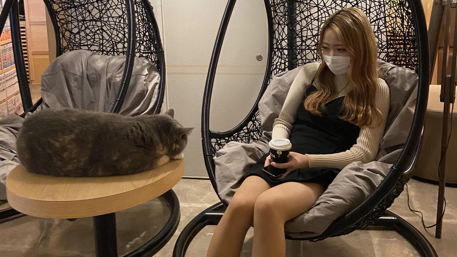 なほちんルーム‪ꪔ̤̮‪ꪔ̤̮｜SHOWROOM(ショールーム)