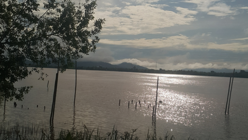 Rara - Profile - SHOWROOM