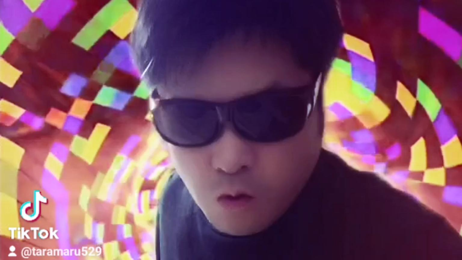 Tara Box｜SHOWROOM(ショールーム)