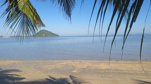 Ryan stream - Profile - SHOWROOM