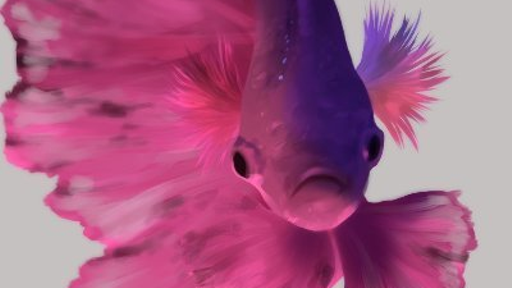 Zzz - Profile - SHOWROOM