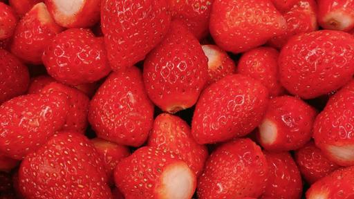 SHN - Profile - SHOWROOM