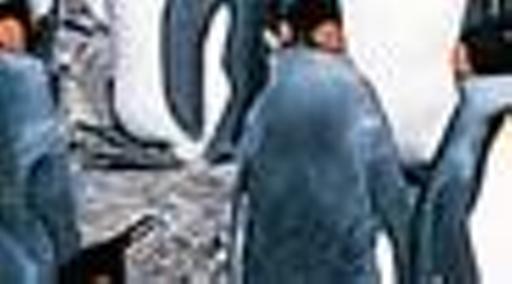 aaaa - Profile - SHOWROOM