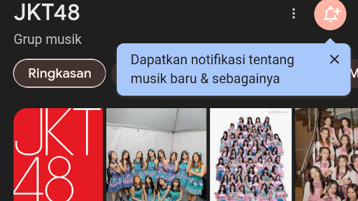 Jkt_Nisa48 - Profile - SHOWROOM