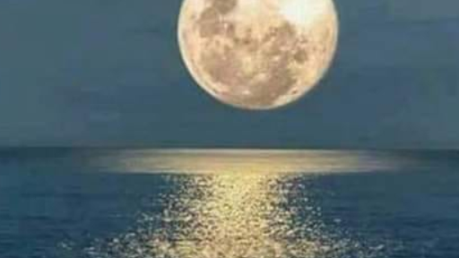 Hey - Profile - SHOWROOM