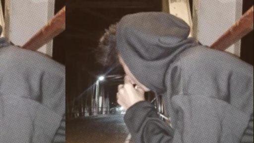 Ferli - Profile - SHOWROOM