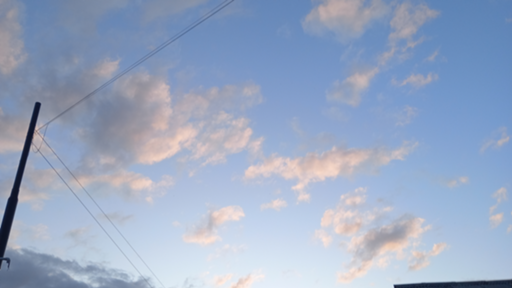 ohayoo - Profile - SHOWROOM