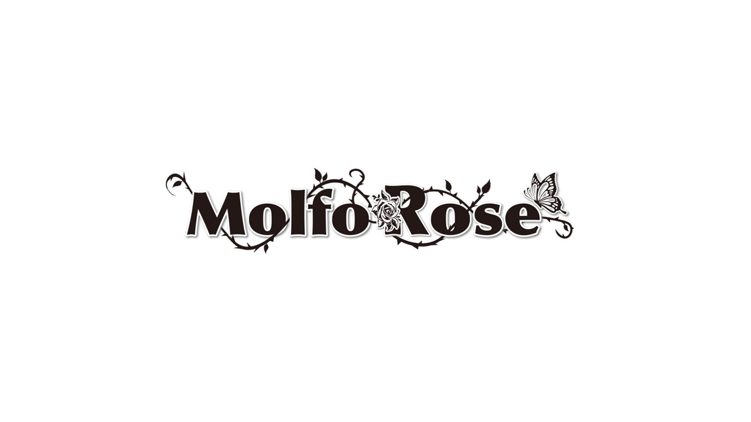 Molfo Rose｜SHOWROOM(ショールーム)