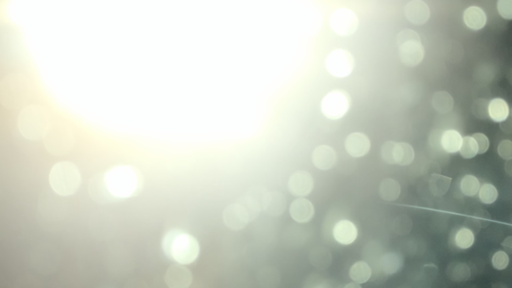 Saran - Profile - SHOWROOM