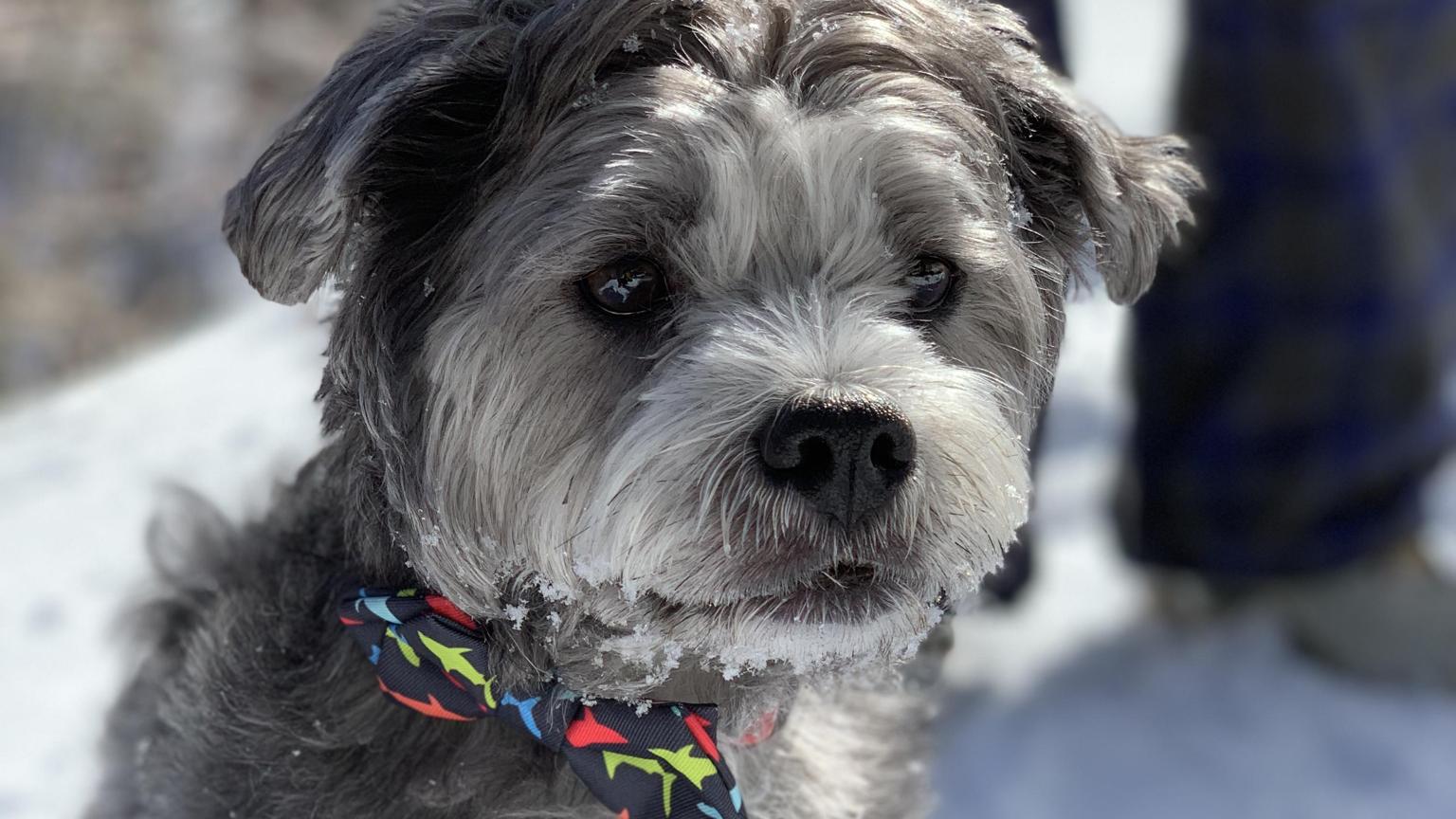 BooTaro｜SHOWROOM(ショールーム)