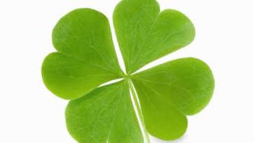 カワウソ - Profile - SHOWROOM