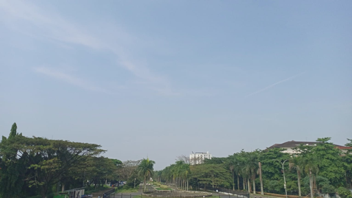 M - Profile - SHOWROOM