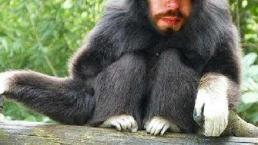 horn i - Profile - SHOWROOM