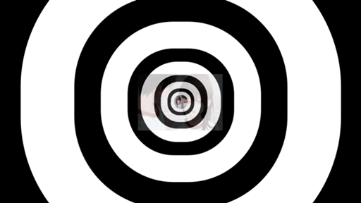 TMT - Profile - SHOWROOM