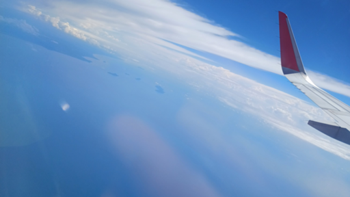 Hey - Profile - SHOWROOM