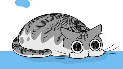 LEN room - Profile - SHOWROOM