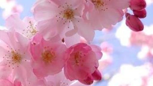 slagger - Profile - SHOWROOM