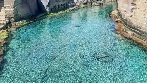 エリペコ - Profile - SHOWROOM