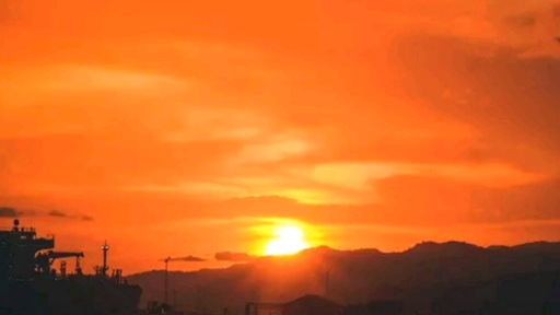 ALAN - Profile - SHOWROOM