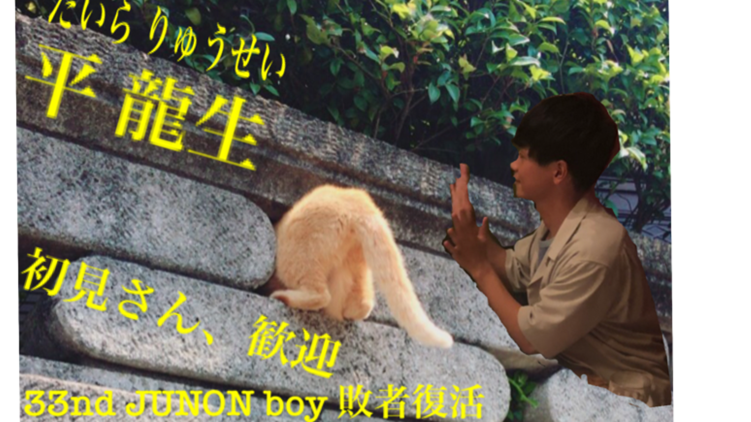 平 龍生「たいら りゅうせい junon boy 参加中｜SHOWROOM(ショールーム)