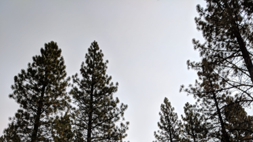 Abcdhf - Profile - SHOWROOM