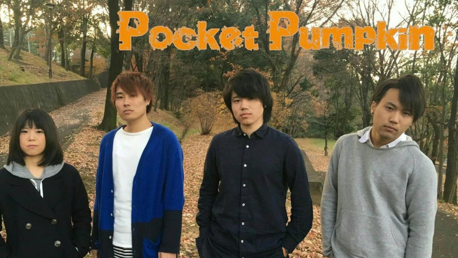 Pocket Pumpkin のカボチャ部屋｜SHOWROOM(ショールーム)