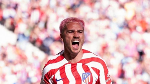 Final UCL - Profile - SHOWROOM