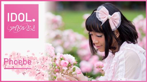 Phoebe (IDOL.アイドルどっと) - Profile - SHOWROOM