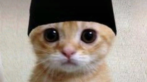 Gghhh - Profile - SHOWROOM