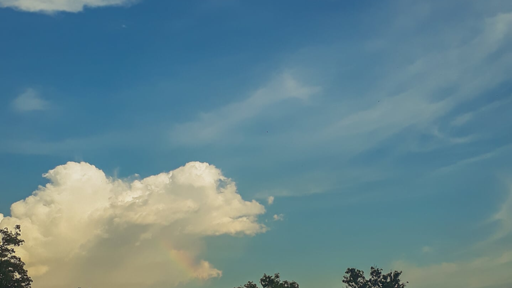 Muhammad Azzam - Profile - SHOWROOM