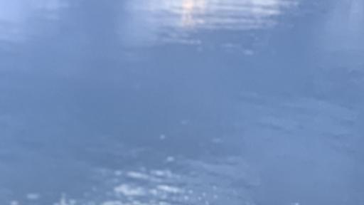 M - Profile - SHOWROOM