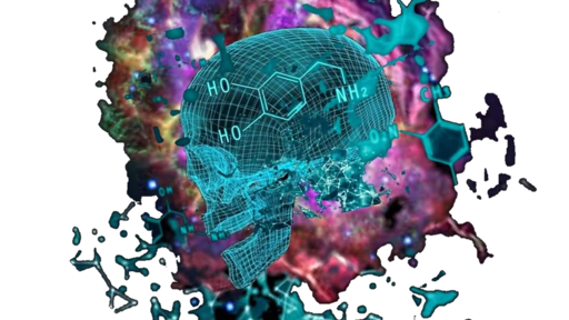 DIGITAL DOPAMINE 2020 - Profile - SHOWROOM