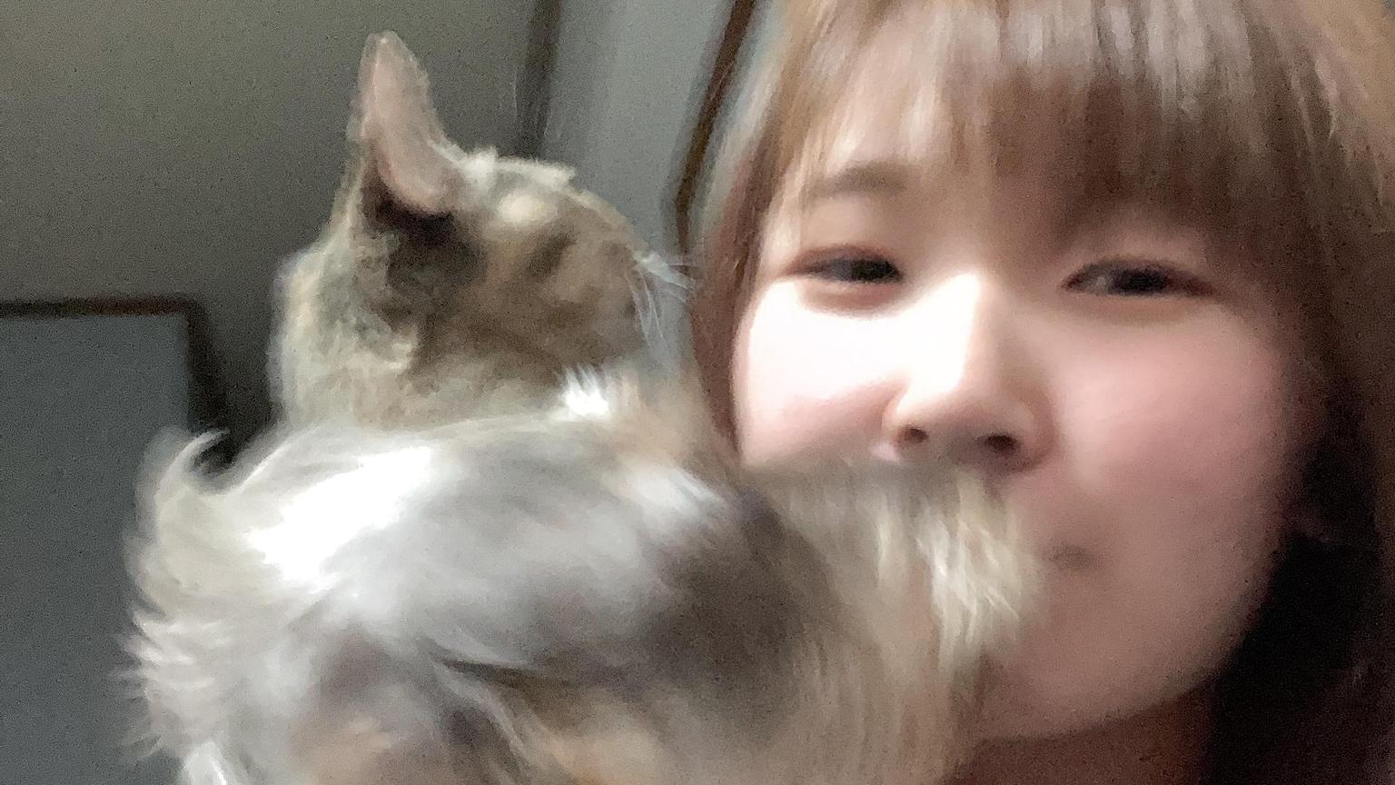 怪しいほいほいルーム｜SHOWROOM(ショールーム)