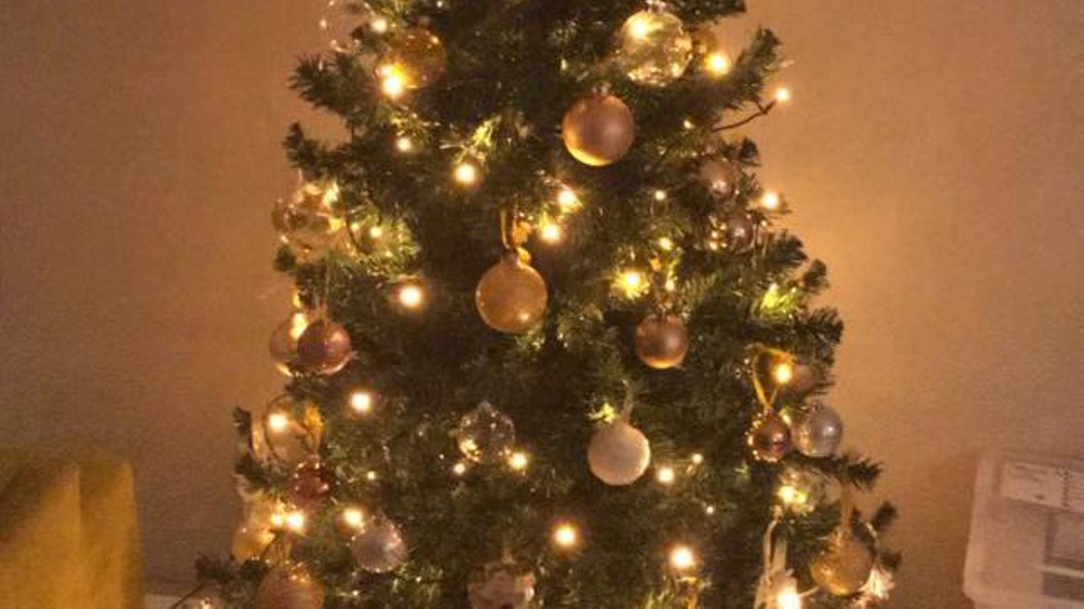 Afscheid｜SHOWROOM(ショールーム)