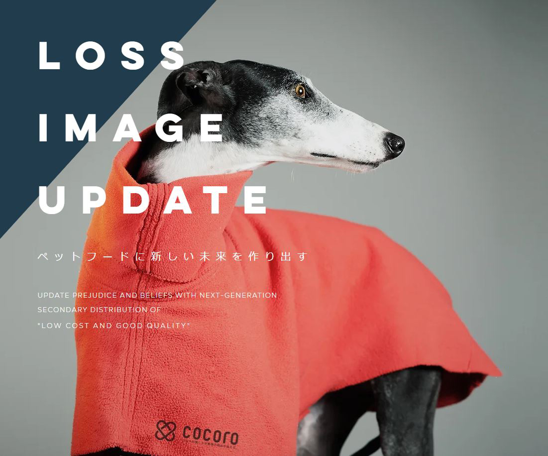 ペットフードに新しい未来を！cocoroアンバサダーモデルオーディション｜SHOWROOM(ショールーム)
